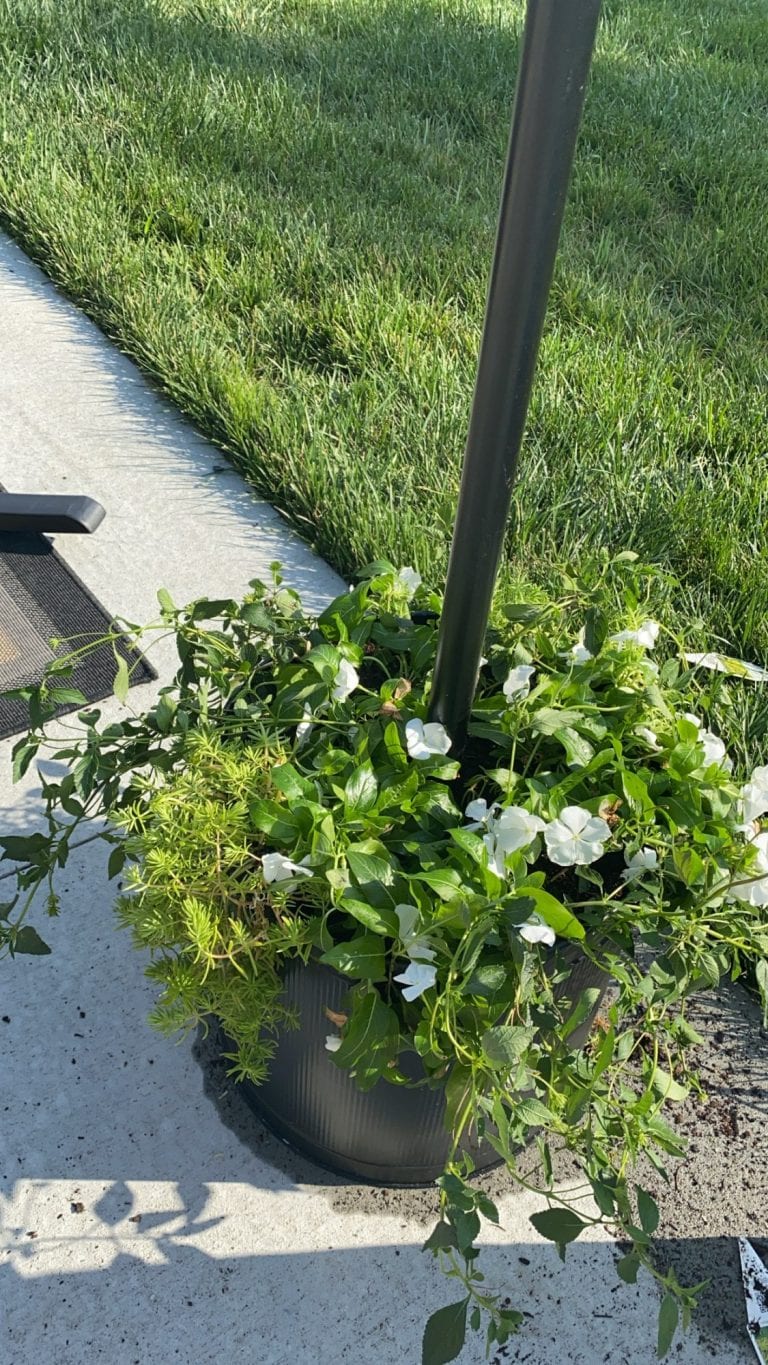 DIY Pole Planters & String Lights - Terra Nelson Home